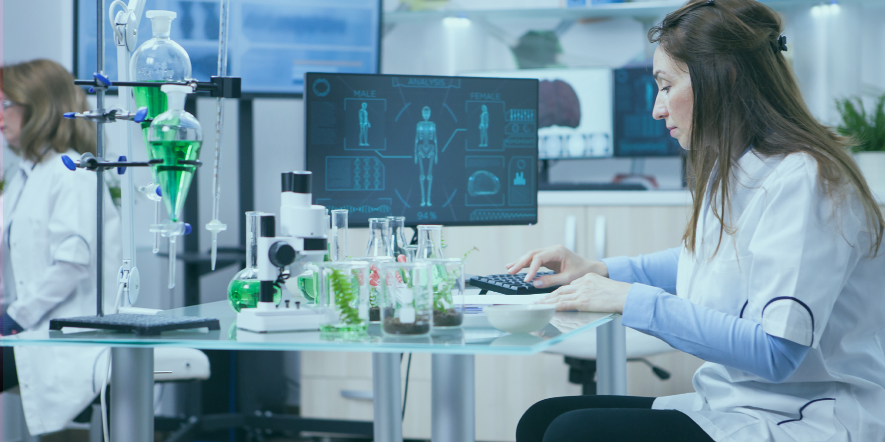 Programet e Studimit | Western Balkans University