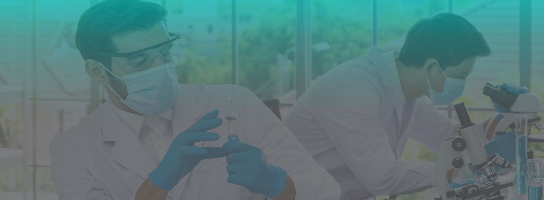 Department of Basic Sciences | Western Balkans University